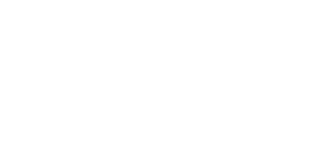iVIS | e-Surveillance Company