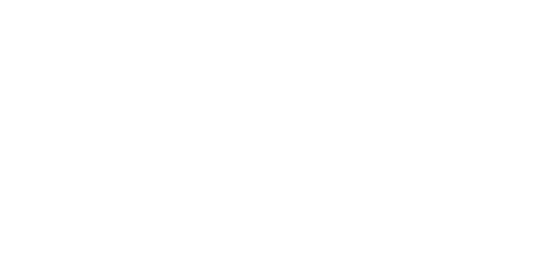 iVIS | e-Surveillance Company
